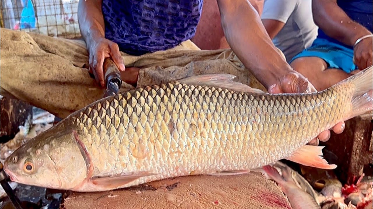 Big Mrigal Fish Cutting Live In Bangladesh Fish Market | Expert Fish ...