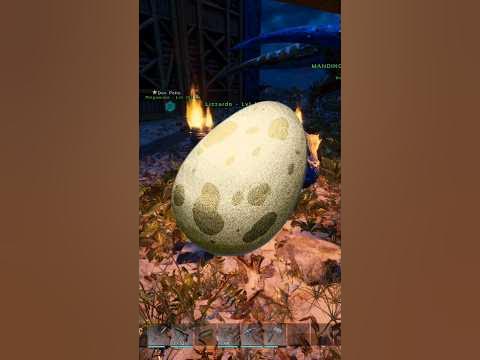 How To Hatch An EGG - ARK SURVIVAL ASCENDED TUTORIAL - YouTube