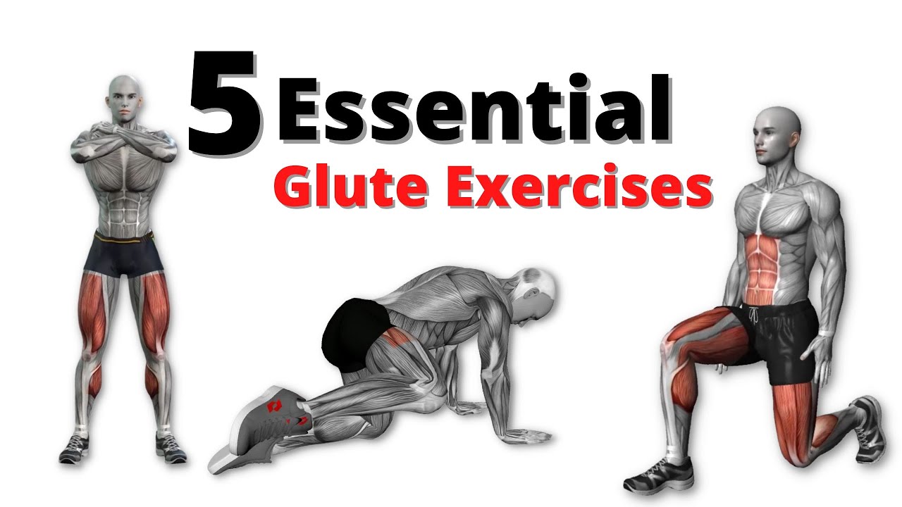 5 Essential Glute Exercises Lower Body Workout | Weights Done Right ...