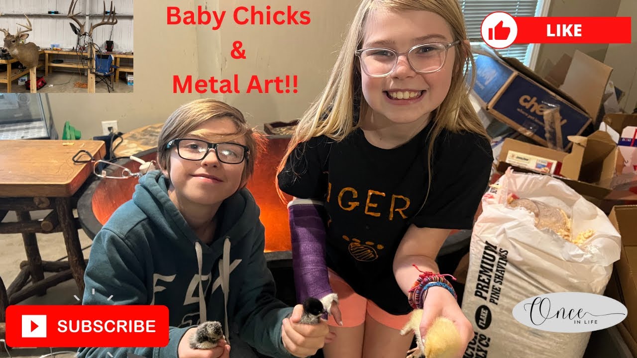 BABY CHICKS AND METAL ART!! - YouTube