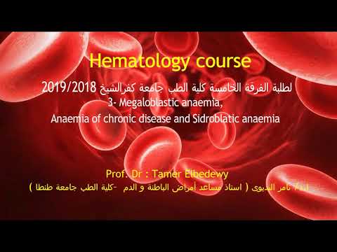 Hematology course 3  Megaloblastic anamia, ACD & Sidroblatic anamia PROF. DR./ TAMER ELBEDEWY