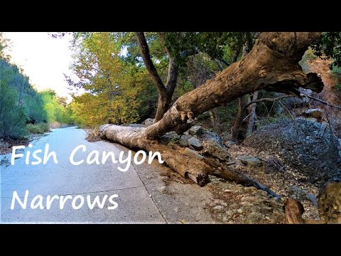 Fish Canyon Narrows - Beautiful Hike! -Ep20 - YouTube