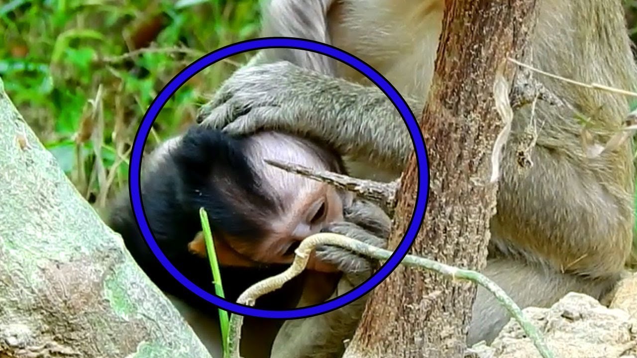 Part5 - Oh God!!Very Dangerous To Baby Justino With Sharp Stick|Little ...