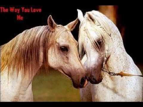 Horses - Unwritten