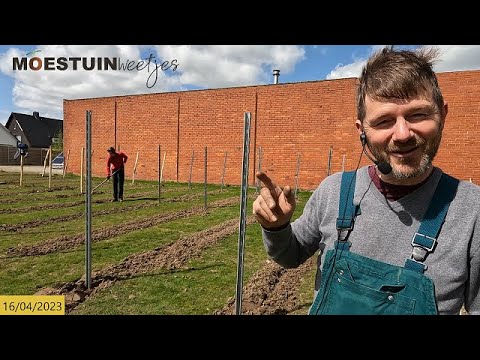 Een wijngaard aanleggen | deel 2 | Zwartstrook en wijnstokken planten ...