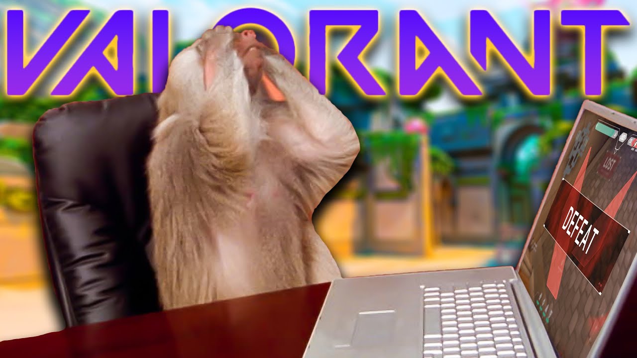 When Monkeys Play Valorant - YouTube