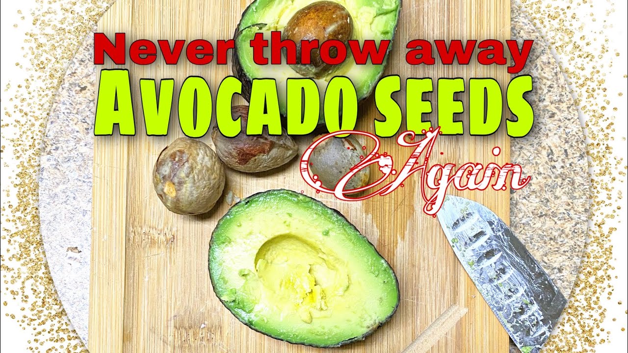 How to turn AVOCADO seeds into seasoning - YouTube