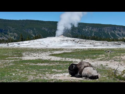 New Hampshire woman burned after falling into hot spring at Yellowstone ...