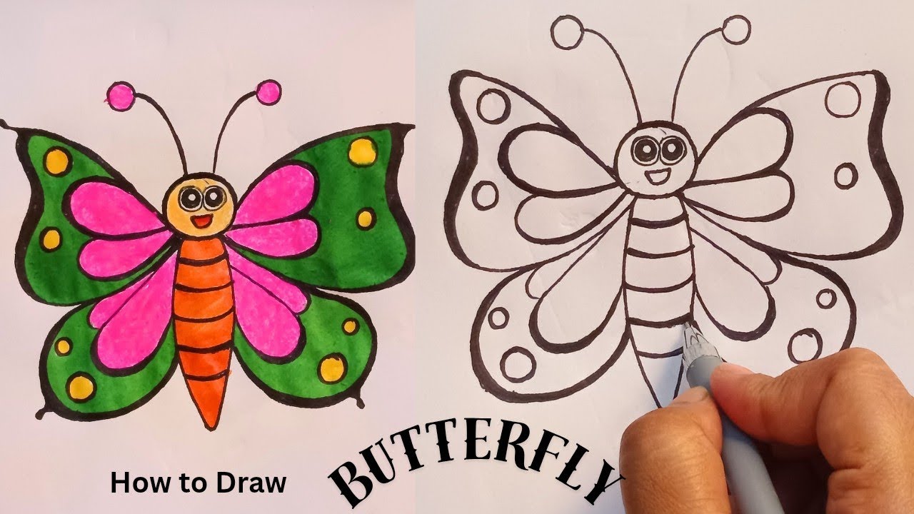 How to Draw Butterfly | Butterfly Drawing and Coloring for Kids - YouTube