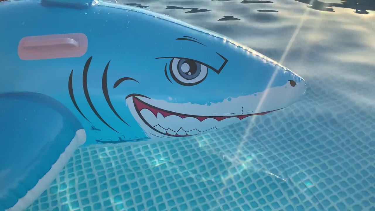 Shark trailer - YouTube