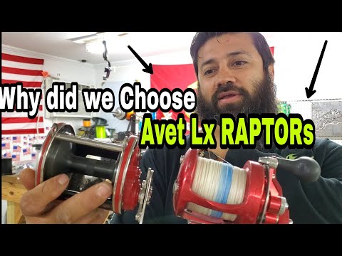 Avet Lx RAPTOR and why we use it Team Hard Life compared to the old School Penn reels improvements