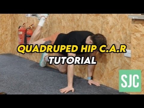Quadruped Hip CAR Tutorial - YouTube