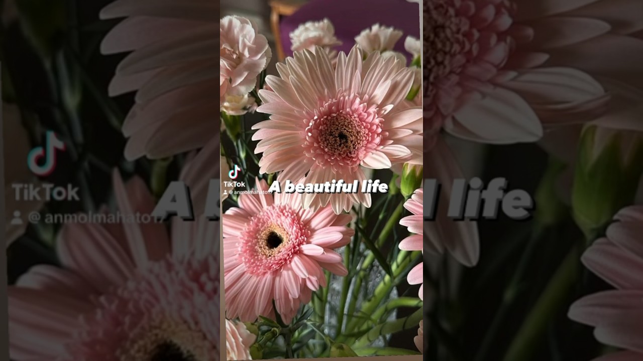 Making the best out of life ️ - YouTube