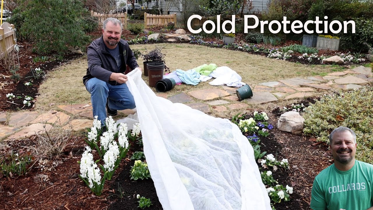 Garden Cold Protection - Protecting Plants from Frost and Freeze - YouTube