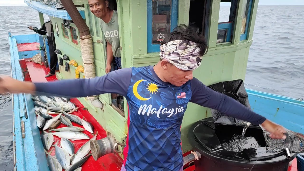 nelayan pancing TFA1043 melayan ikan memakan umpan sampai ke malam ...