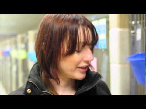 Video: Eve and Wheezy, two pit bulls ready to find their future families