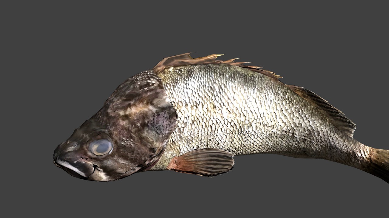 Blender Kurosoi rendered - YouTube