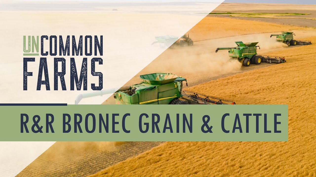 UnCommon Farms - R&R Bronec Grain & Cattle Testimonial 01 - YouTube