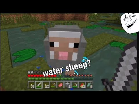 I found water sheep. Minecraft ep4 - YouTube