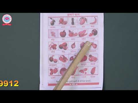 CLASS VI,HINDI,HAMARE FAL PUSPA AUR SABJI YAANCODE VI HD B