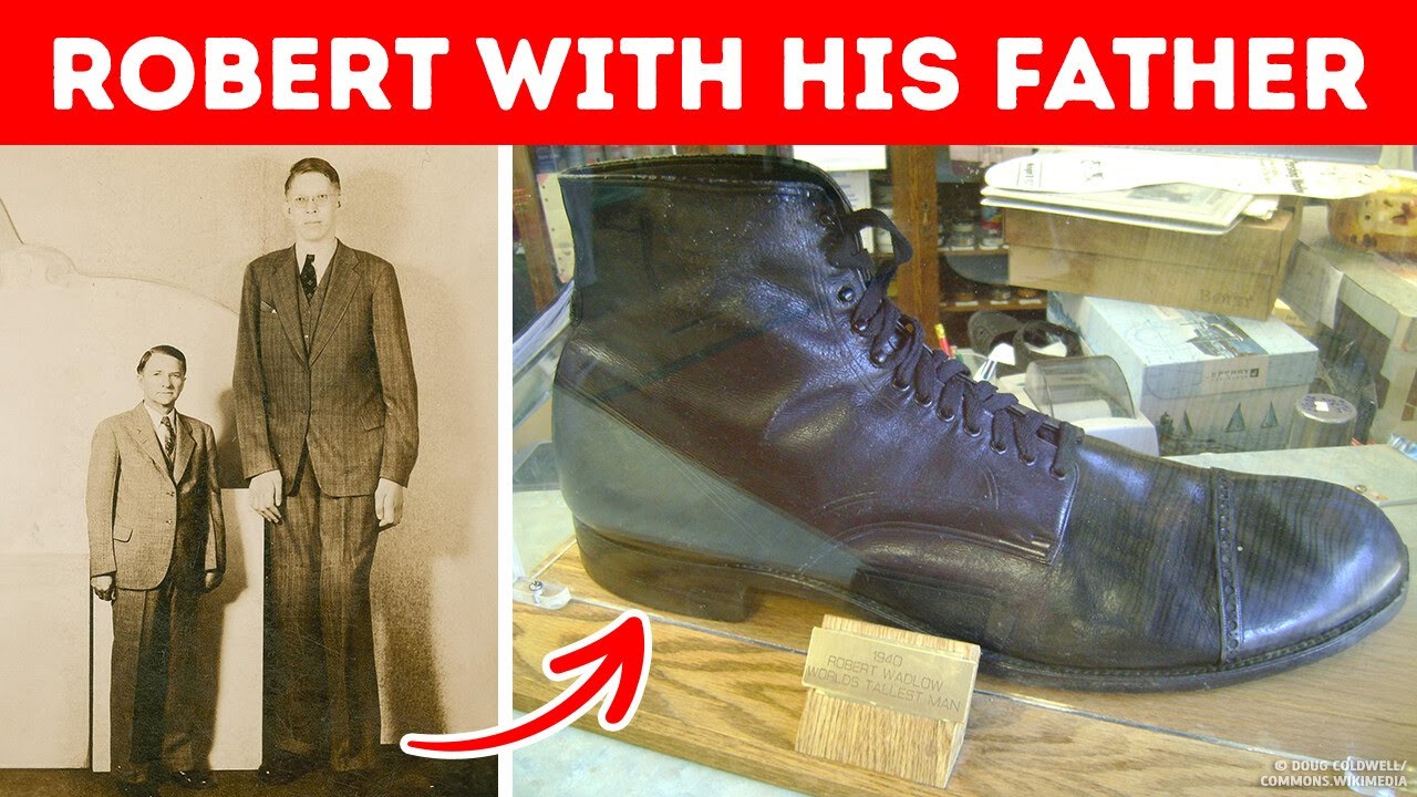 Stories of the Most Impressive Real-Life Giants - YouTube