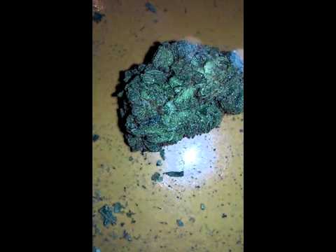 Bong rip of some fya