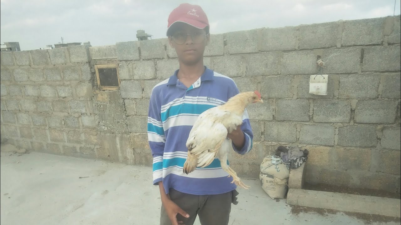 new hen agye ha hamara setup ma - YouTube