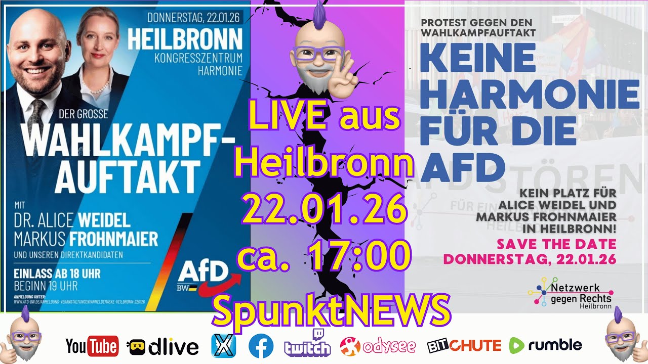 Alice Weidel in Heilbronn AfD-Wahlkampfauftakt Baden Württemberg vs ...