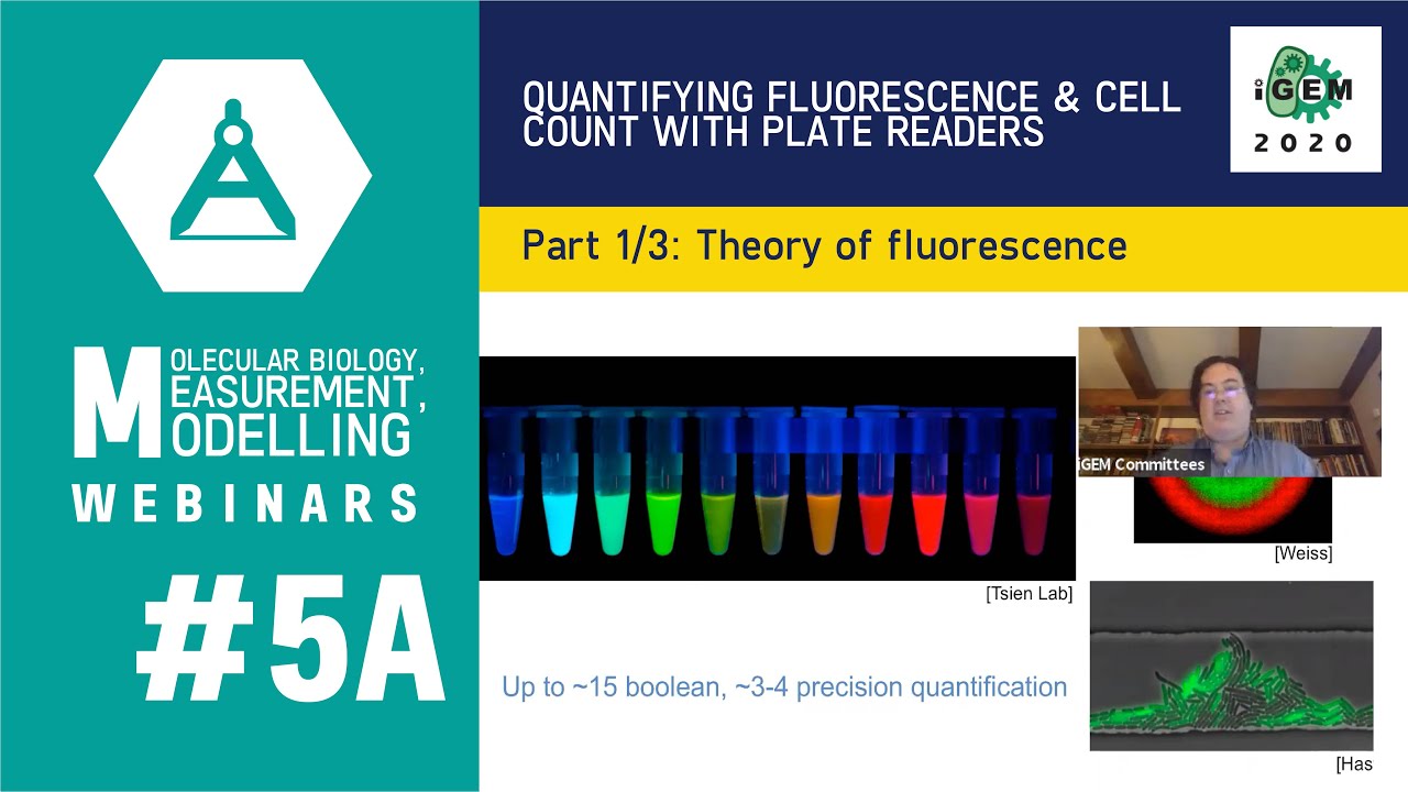Week #5A: Quantifying fluorescence and cell count with plate readers 1/ ...