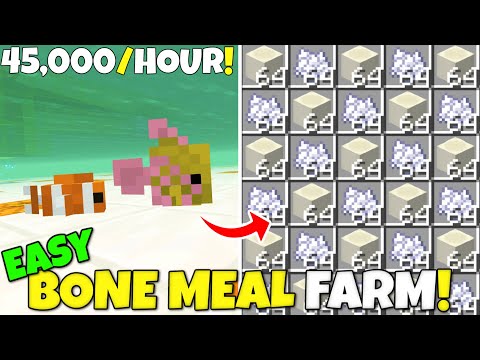 NEW BEST Bone Meal Fish Farm Tutorial! 45k/Hour! Minecraft Bedrock Edition Tutorial