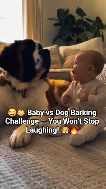 😂👶 Baby vs Dog Barking Challenge — You Won’t Stop Laughing! 🐶🔥#dog # ...