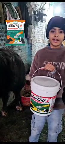 #bada#calf+result - YouTube