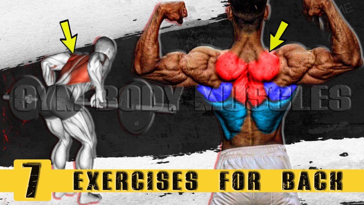 7 Best Back Workout Exercises For Building Muscle - YouTube