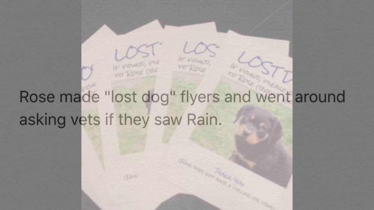 Rain Reign Movie Trailer - YouTube