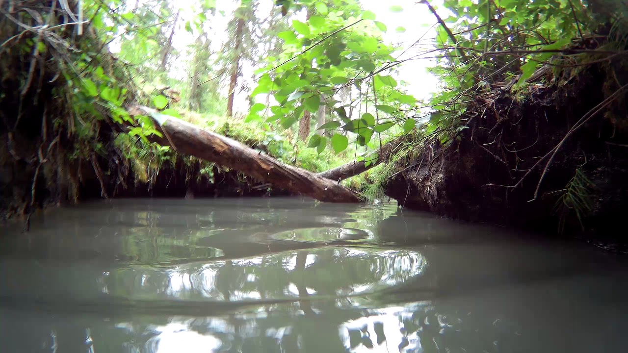 Path to the Secret Waterfall at Liard River Hot Springs Provincial Park ...