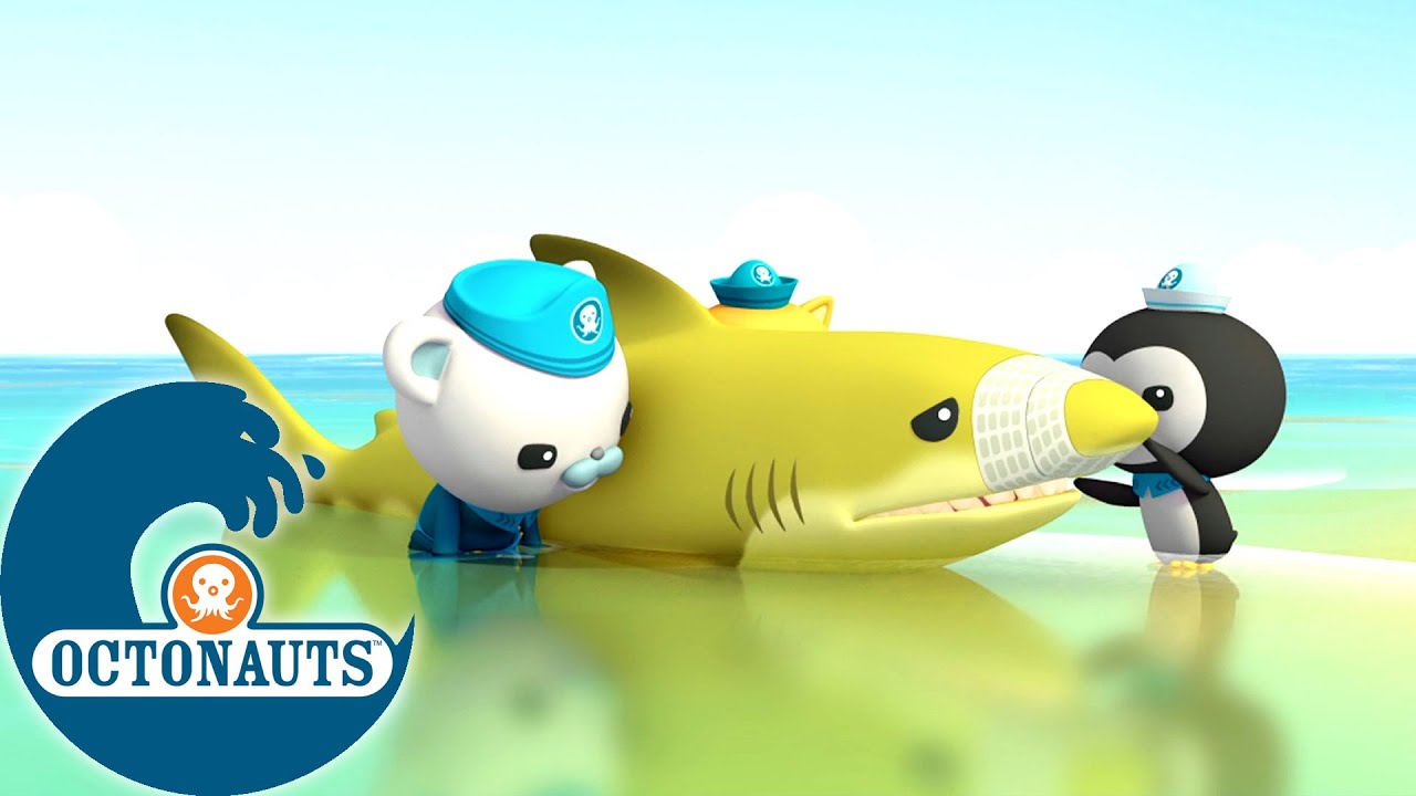 Octonauts - Le requin-citron perdu | Dessins animés pour enfants - YouTube