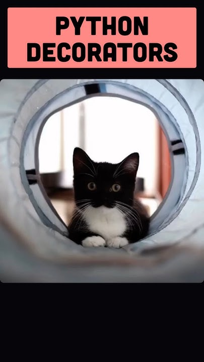 🚀 Mastering Python Decorators 🔥 Python Pythonprogramming Coding Tech Shorts Youtube