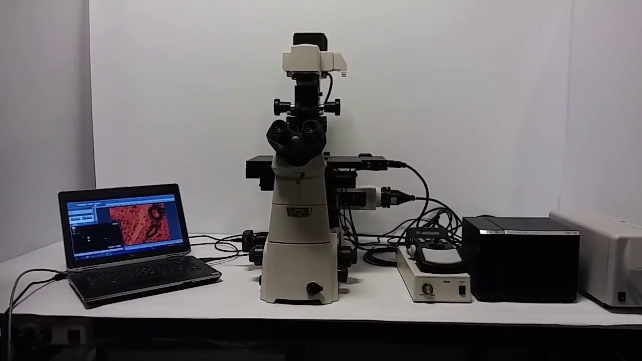 Nikon Eclipse Ti-U Motorized Inverted Microscope 4,20,40x Phase Contr ...