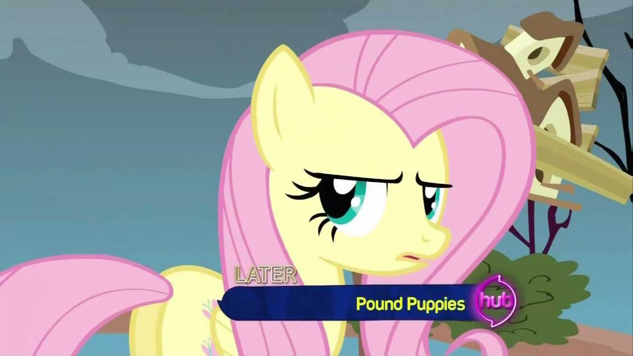 Fluttershy - Well, I'm not satisfied - YouTube