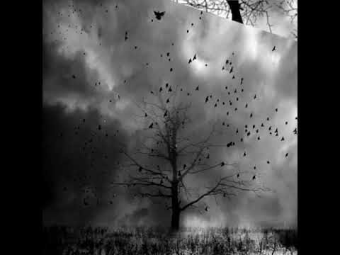 Kayıplığıma ilan kala