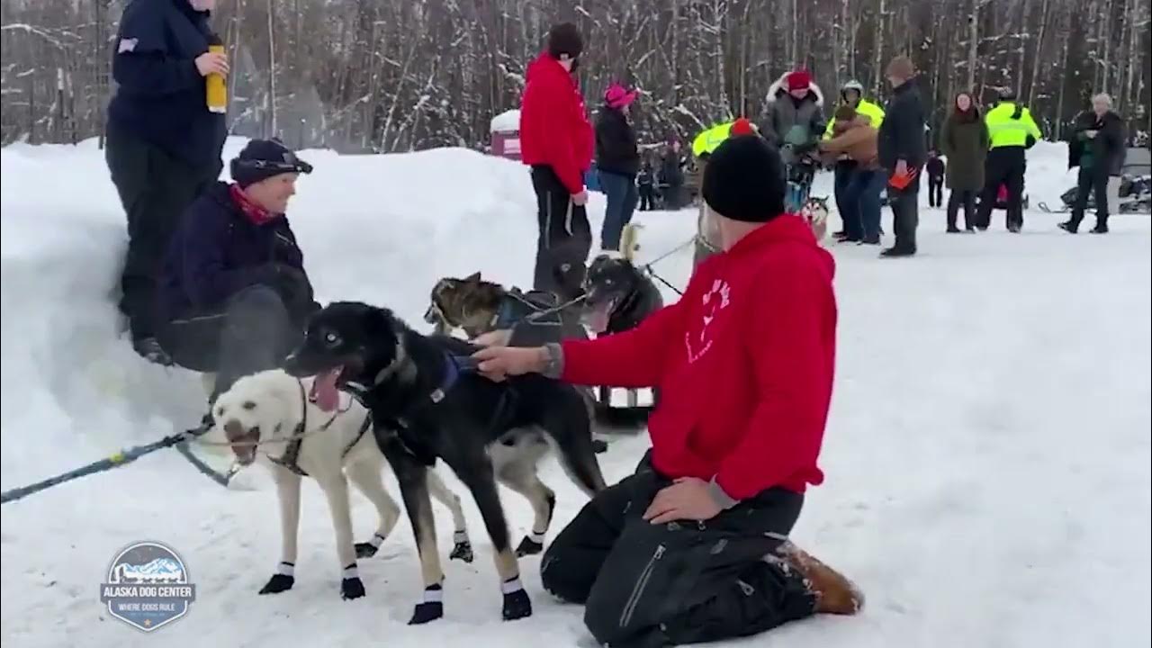 Alaska Sled Dog Race 150 Mile - Willow 150 - 2023 Mid Distance Alaskan ...