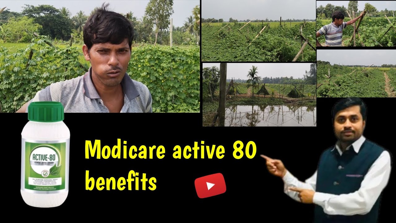 Agricultural products of modicare || Modicare active 80 - YouTube
