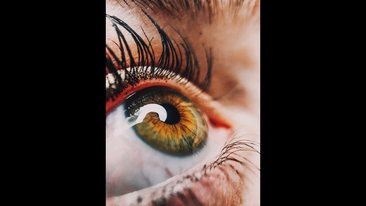 creatures with 360 degree vision - YouTube