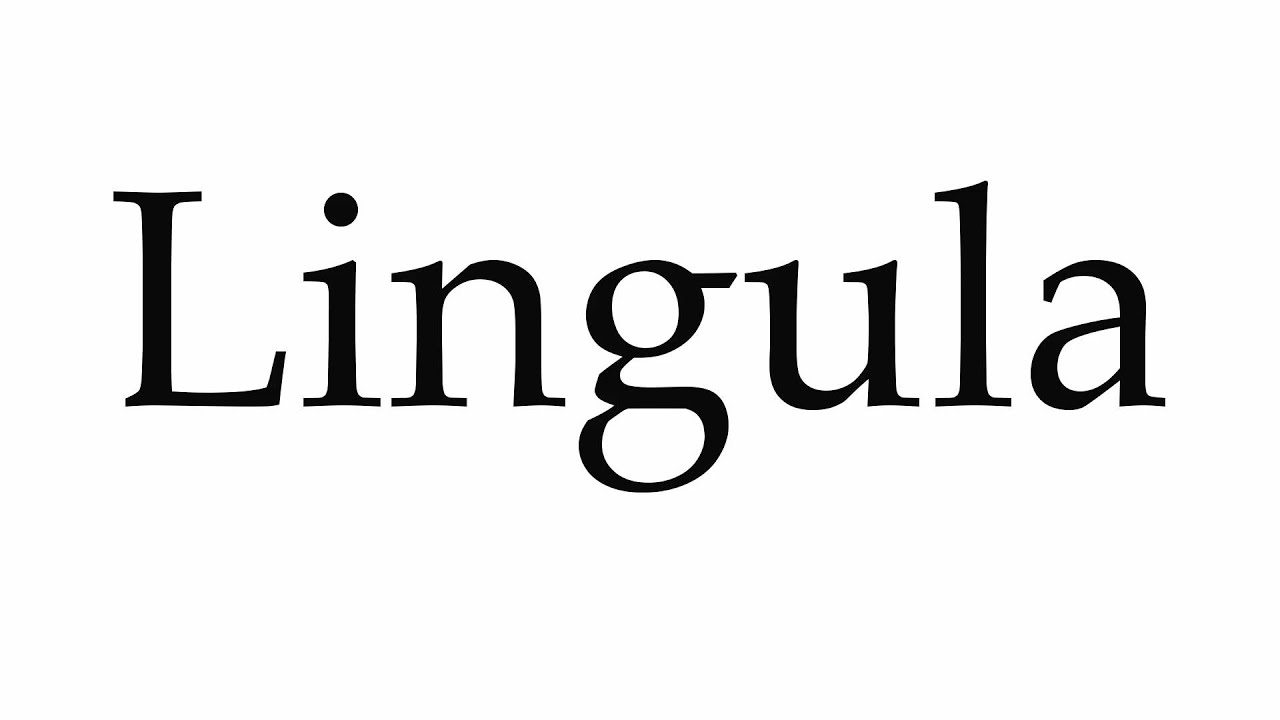 How to Pronounce Lingula - YouTube