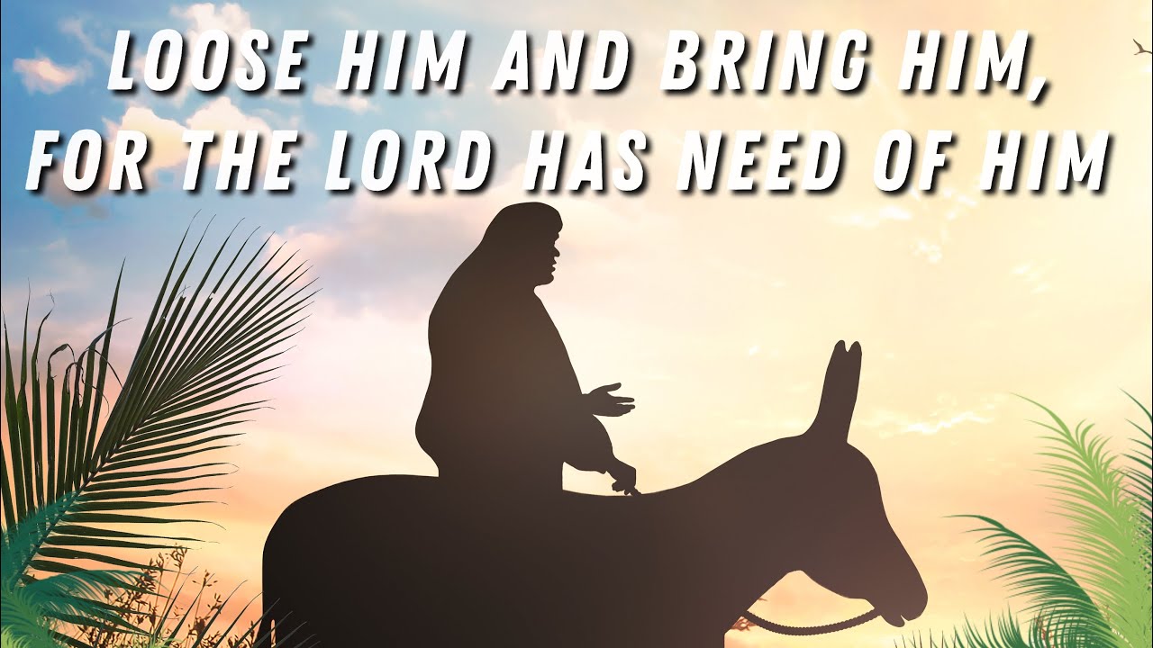 Loose him and bring him, for the Lord has need of you. - YouTube