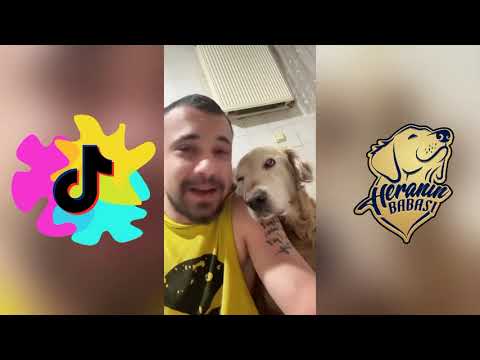 Heranın Babası En Çok İzlenen Sevilen Tiktok Videoları Tam 29 Dakika