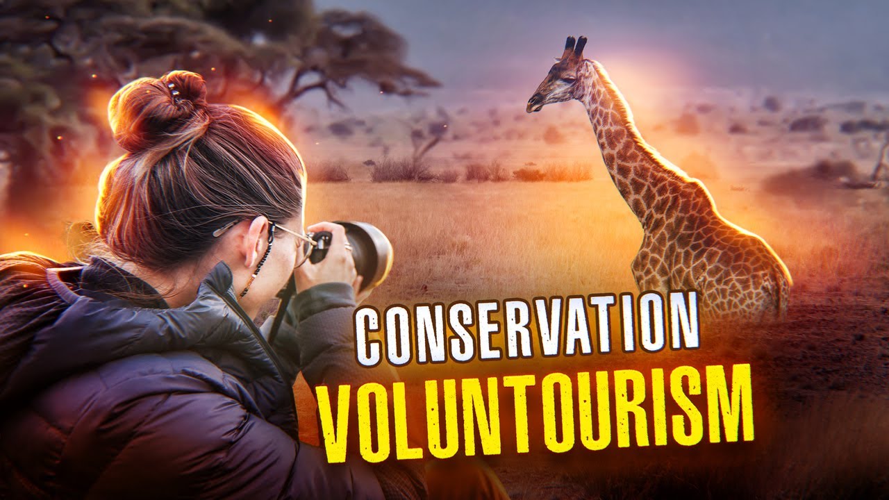 Conservation Tourism in Safari Trip 🦒 - YouTube