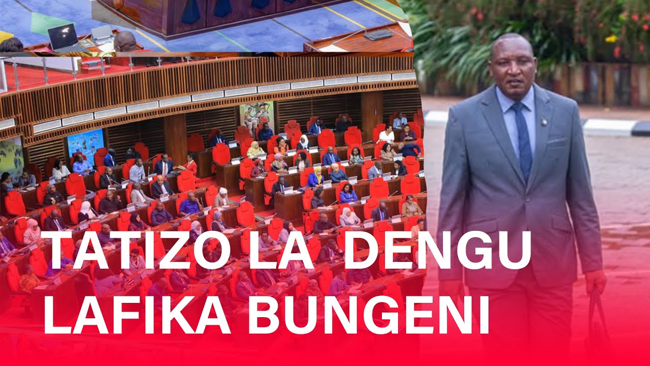 KWANINI BEI YA DENGU IMESHUKA MSITA AHOJI - YouTube