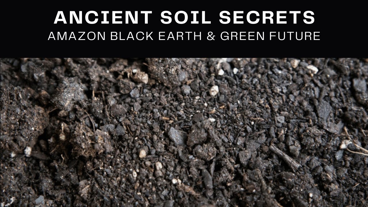 Ancient Soil Secrets: Amazonian Dark Earth and the Future of Reforestation - YouTube
