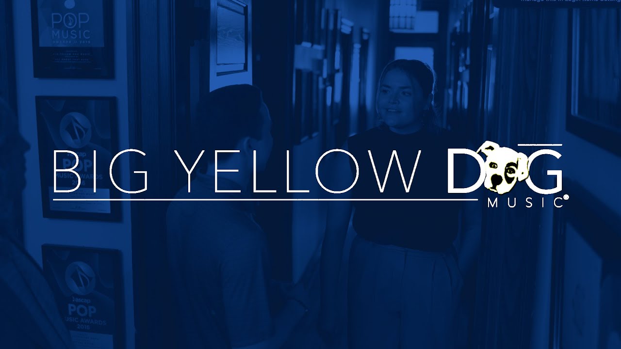 Big Yellow Dog - Meet Belmont Alumni on Music Row - YouTube